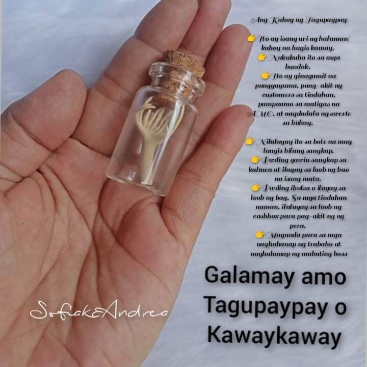 tagupaypay in a bottle | Lazada PH