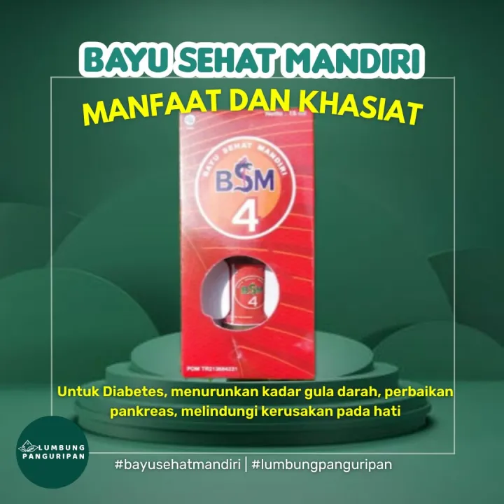 Bayu sehat mandiri BSM 4 | Lazada Indonesia