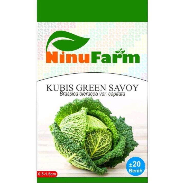 BENIH KUBIS GREEN SAVOY / BIBIT KUBIS HIJAU SAVOY UNIK | Lazada Indonesia