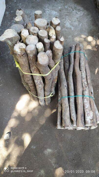 kayu bakar api unggun per ikat | Lazada Indonesia