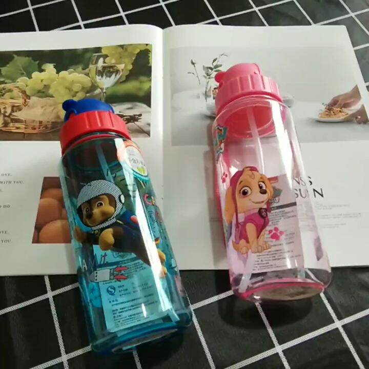 Kids Water Bottle with Straw, Nickelodeon PAW Patrol Plastic Water ...