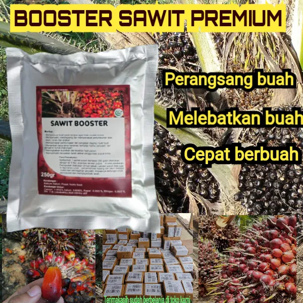 Pupuk Sawit Organik Agar Cepat Berbuah Lebat Ampuh Pupuk Booster Pelebat Buah Obat Perangsang ...