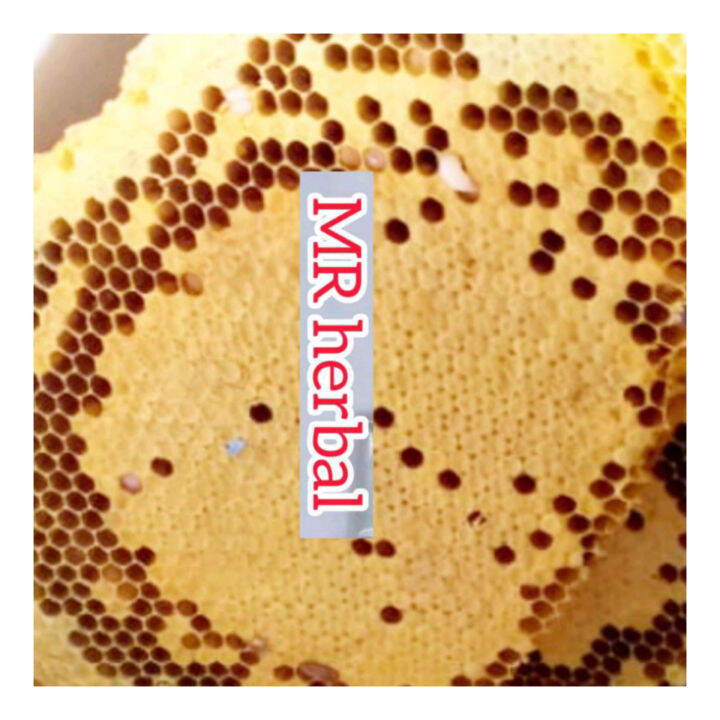 Telur lebah asli larva lebah segar per 800 gram | Lazada Indonesia