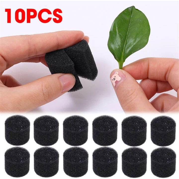 10Pcs Seedling Sponge Block Fixed Planting Sponge In Soilless Culture ...