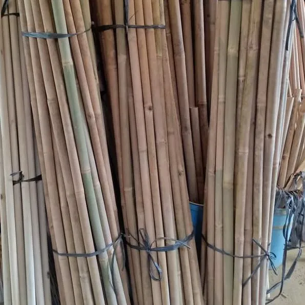 tongkat bambu panjang 2 meter 1 batang | Lazada Indonesia