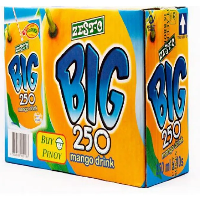 BIG 250 Mango Juice Drink 250mlx10 | Lazada PH