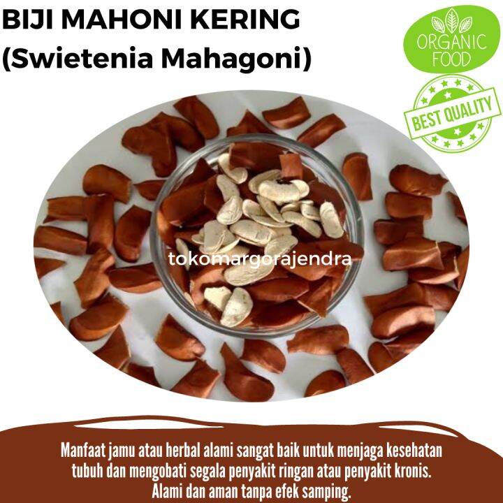 Biji Mahoni Kering 100gram Mahoni Asli Organik | Lazada Indonesia