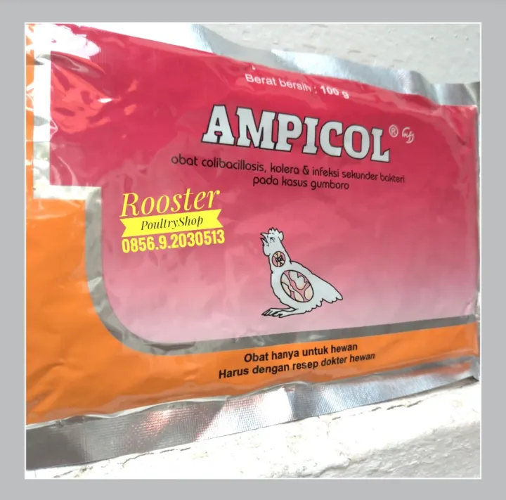 Ampicol 100 GRAM Obat Ayam Bebek Puyuh Sakit Kolera Gumboro | Lazada ...