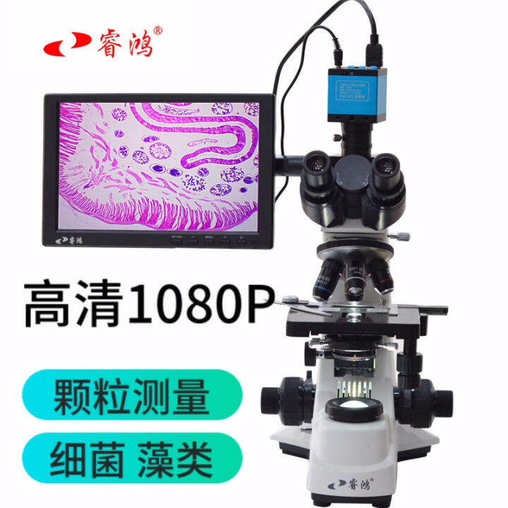 Professional Binocular Microscope Optical Bm 500t High Power Scientific Research Display Screen