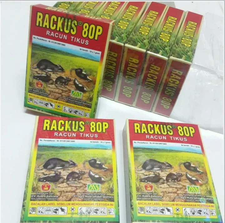 RACUN TIKUS SERBUK / RACKUS 80 P ( 1 PAK ISI 10 PCS ) | Lazada Indonesia