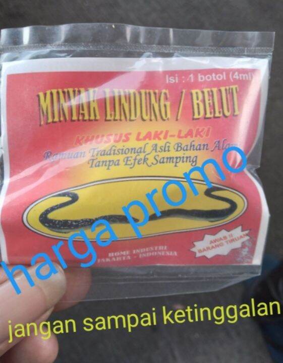 MINYAK LINDUNG BELUT kuning dan hitam | Lazada Indonesia