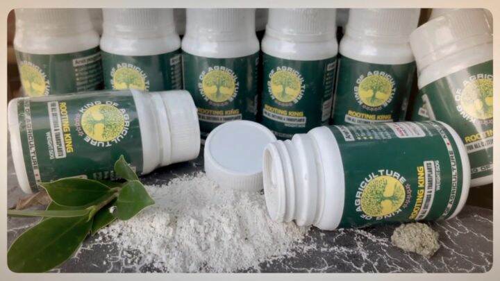 BUY 2 GET 1 FREE Bio Agrivax 1 Liter - Fungicide King - The leading ...