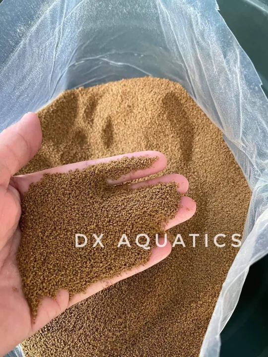 Po1 Sinking Fish Food | Lazada PH