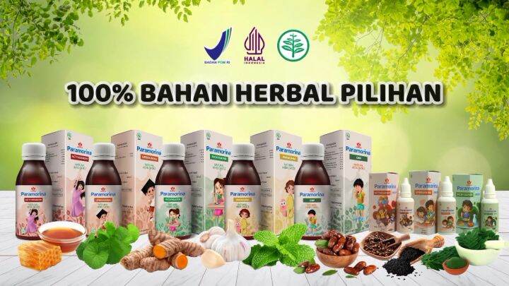 Paramorina Drop Pickyeater dan Activegrow - Paket Hemat 2 Botol Drop ...