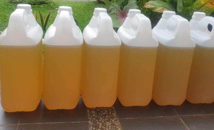 Minyak dirigen 5 Liter | Lazada Indonesia