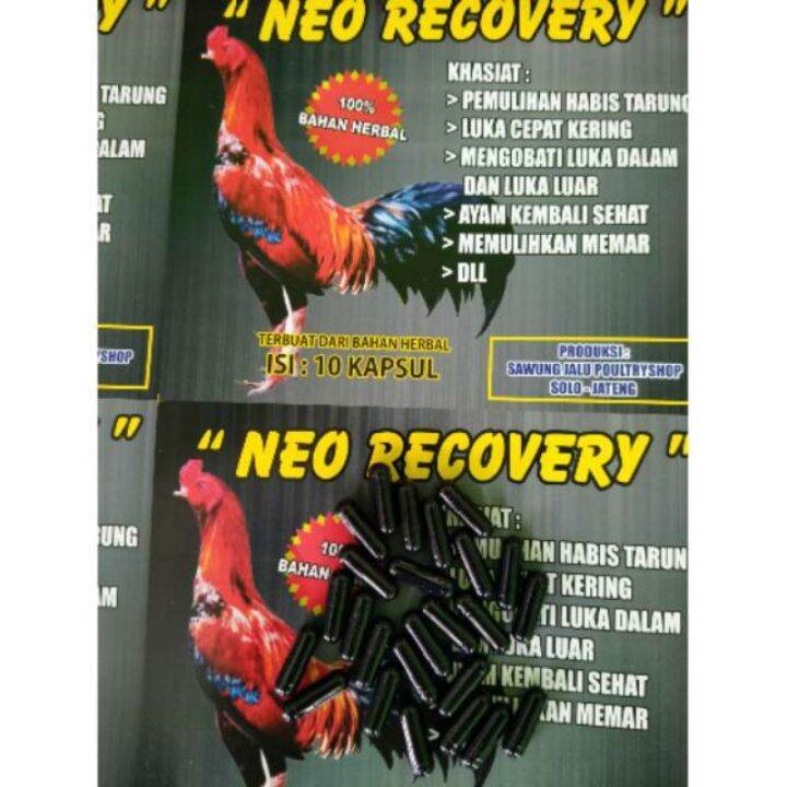 NEO RECOVERY OBAT LUKA DALAM & LUAR AYAM PASCA TARUNG HERBAL 10 KAPSUL | Lazada Indonesia