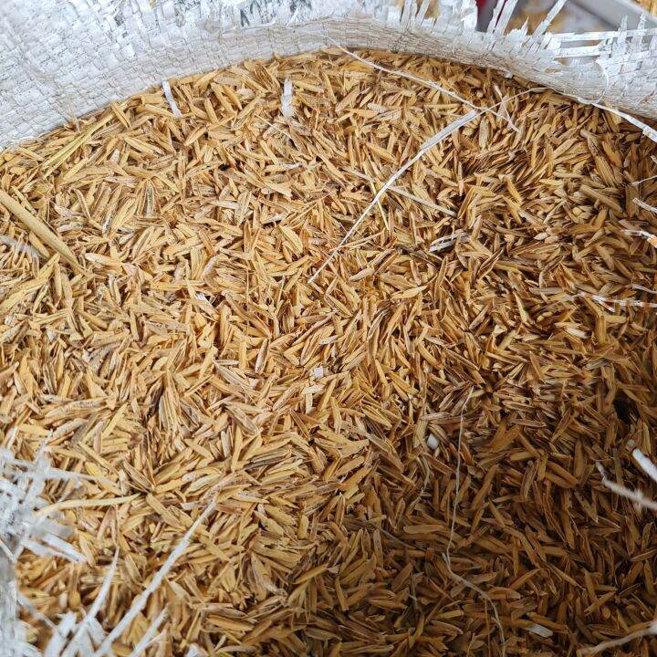 Sekam Padi Mentah (LIMIT PEMBELIAN : 2 GUNI SAHAJA SETIAP PENGEPOSAN ...