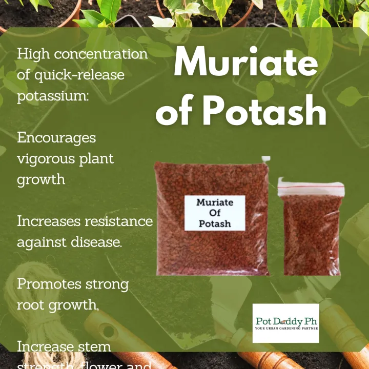 MOP | Muriate of Potash available in 2 sizes | Lazada PH