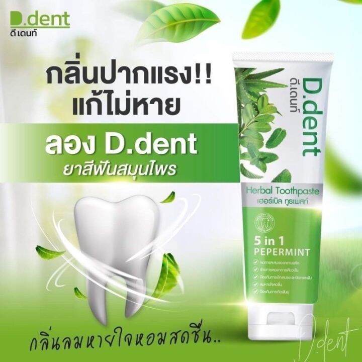 D.dent Herbal Toothpaste 5 in 1 Perpermint 100 g. ยาสีฟันดีเดนท์ ...
