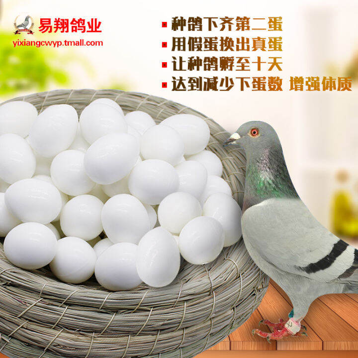 Pigeon Racing Pigeon Supplies Fake Pigeon Egg Simulation Fake Egg ...