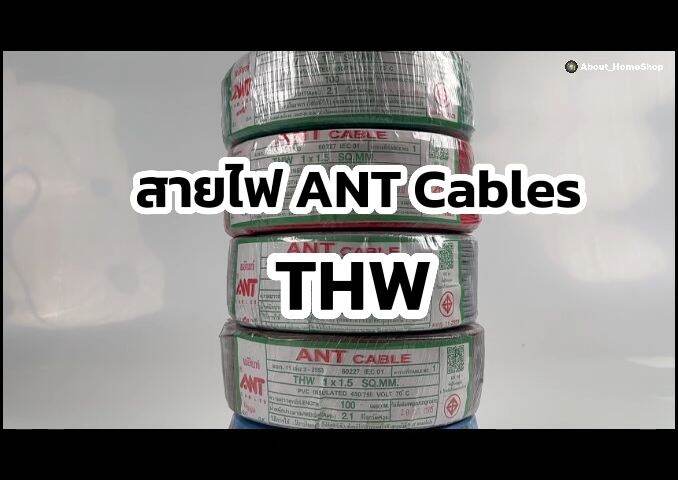 ANT Cables สายไฟ THW 1x 2.5 sq.mm ความยาว 100 เมตร/ขด ( สาย IEC01 สาย ...
