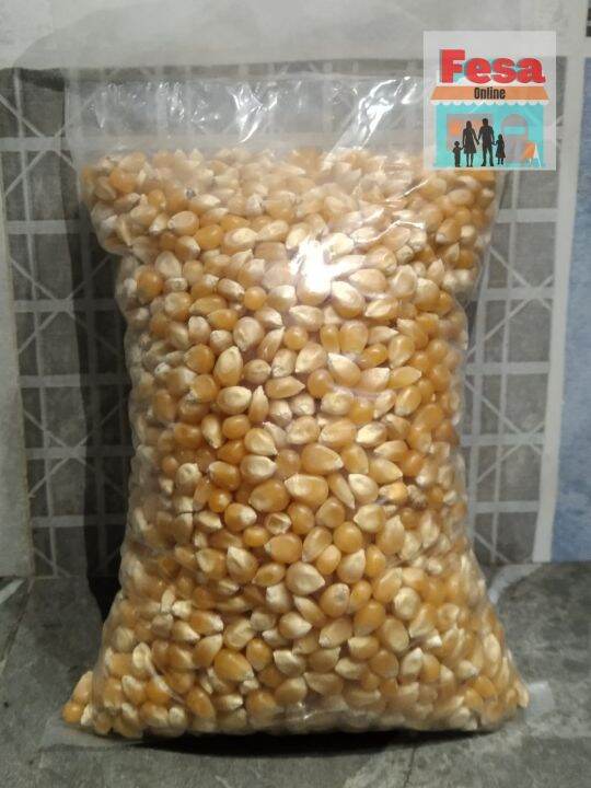 Jagung Popcorn | Cemilan | Snack | Jajanan | Makanan Gurih | Lazada ...