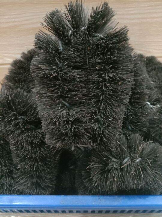 Sikat hitam khas Bangka | Lazada Indonesia