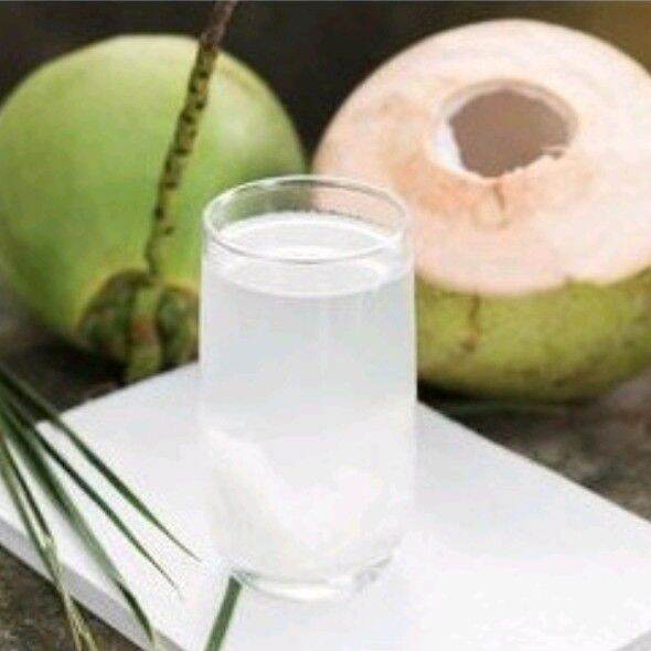 Degan buah kelapa muda hijau utuh Fresh segar obat herbal berkhasiat | Lazada Indonesia