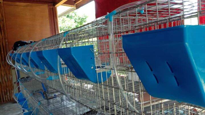 Sangkar Arnab / rabbit cage (37cm x 45cm x 30cm) | Lazada