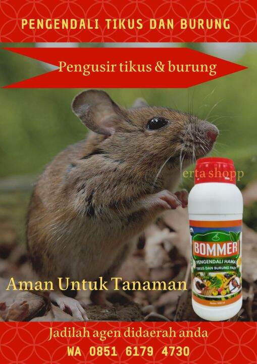 BOMMER PESTISIDA/PESTISIDA SEMI ORGANIK/PENGUSIR TIKUS/PENGUSIR BURUNG ...