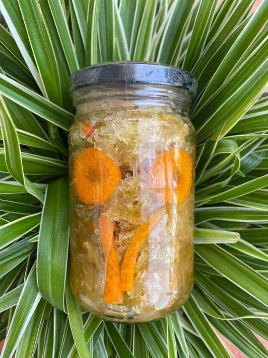 Pickled Papaya Non Slicy | Lazada PH