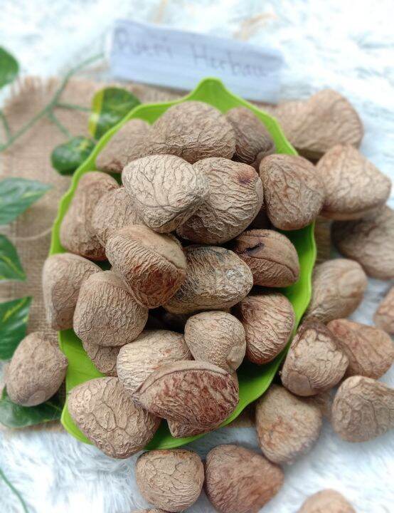 BUAH PICUNG ATAU KLUWEK TUA PER 1 KG | Lazada Indonesia