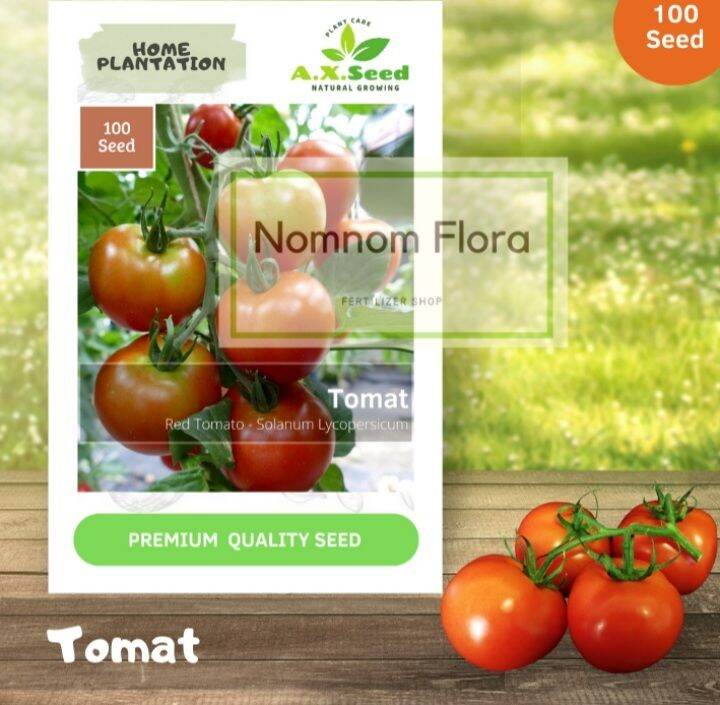 BENIH BIBIT TOMAT (AX SEED) | Lazada Indonesia
