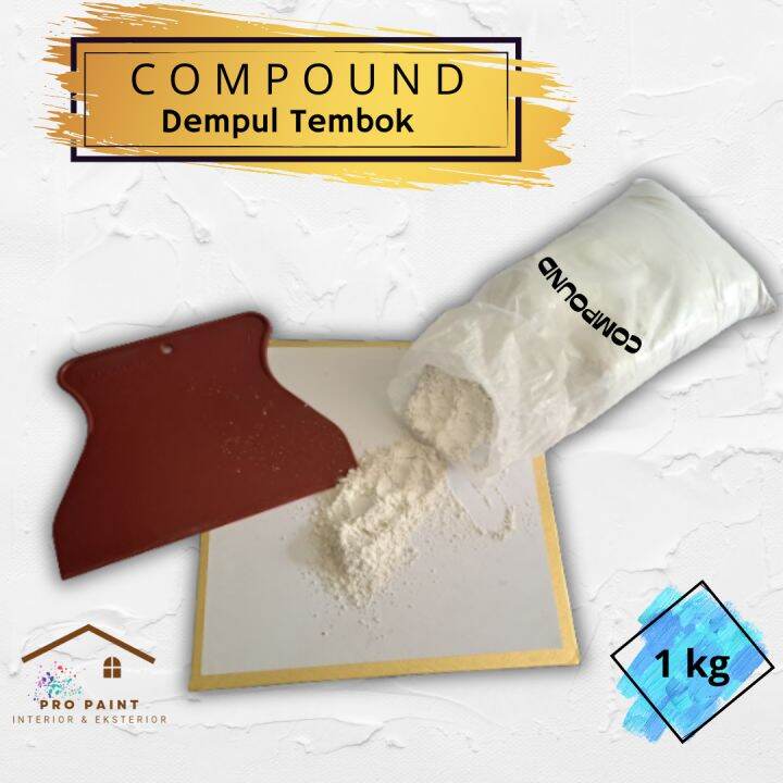 PRO PAINT Compound dempul rumah gypsum kemasan 1kg | Lazada Indonesia