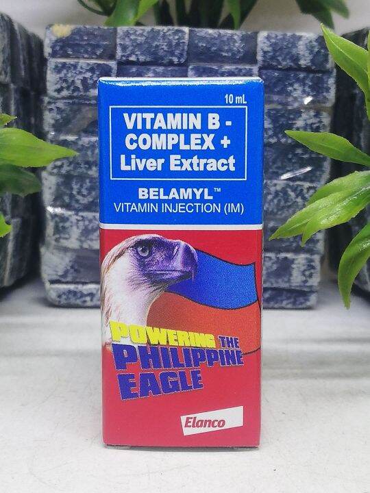Belamyl Vitamin B-complex + Liver Extract 10mL | Lazada PH