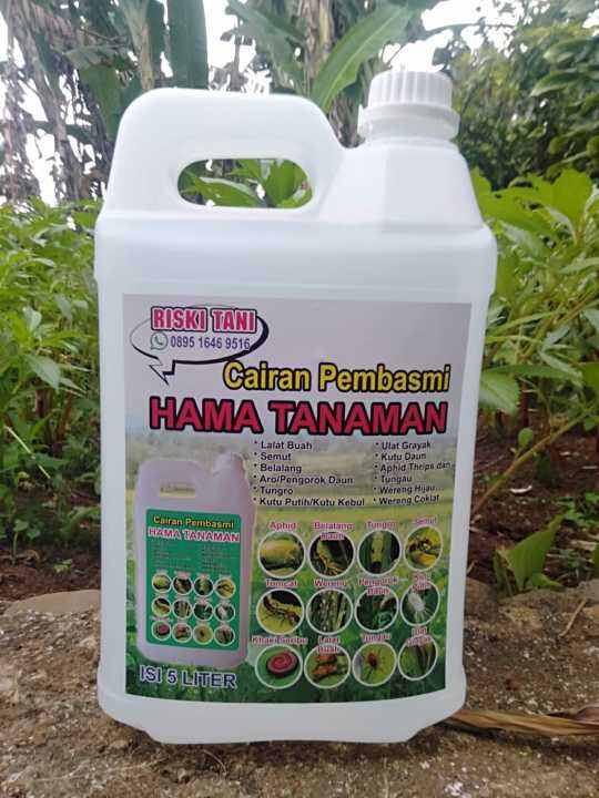 cairan hama tanaman/buah obat siap pakai isi (5 liter) | Lazada Indonesia