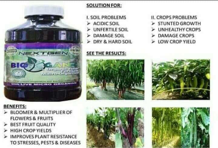 1L Bio Foliar Organic Fertilizer Bloomer and Multiplier | Lazada PH