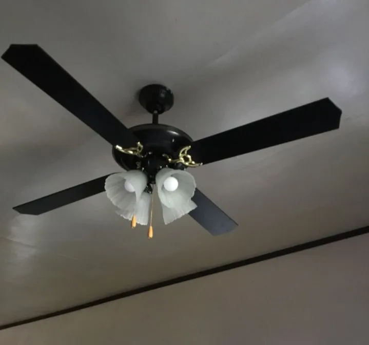 AMERICAN STAR CEILING FAN 52" | Lazada PH