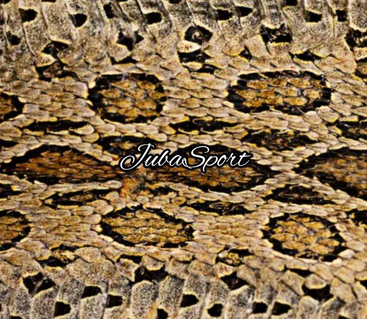 Stiker sisik ular Viper² 50x50cm | Lazada Indonesia