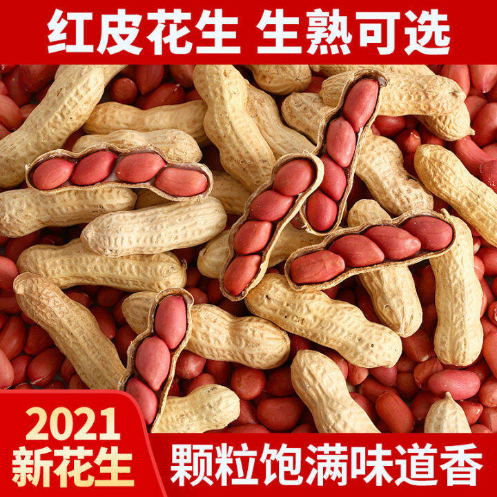 New Red Skin Peanut with Shell Raw Rice Snack Four Red Seeds High-Yield ...