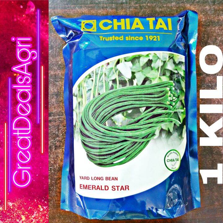 EMERALD STAR YARD LONG BEAN / SITAW OR SITAO SEEDS (1 KILO) BY CHIA TAI | Lazada PH