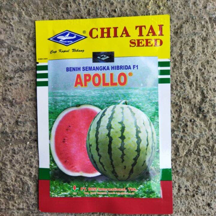 benih semangka bulat merah apollo cap kapal terbang | Lazada Indonesia