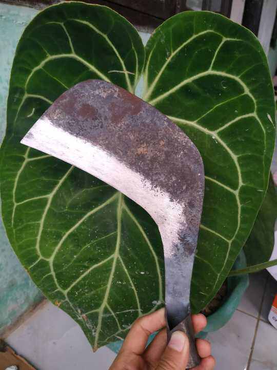 ARIT ASLI BAJA parang TAJAM KAMPUNG PANDAI BESI ARIT KUAT per baja arit ...