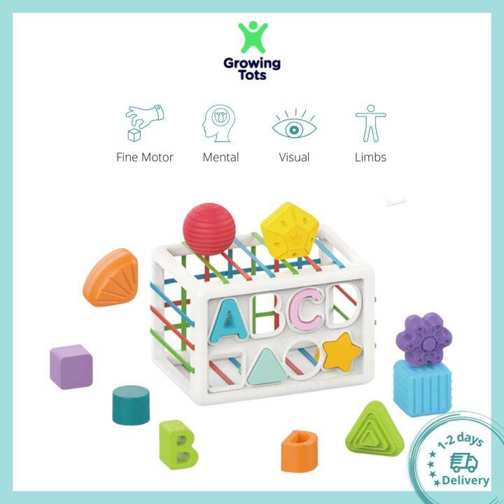 Huanger (Rectangle + Shapes) Shape Sorting Toys │ Baby Montessori ...