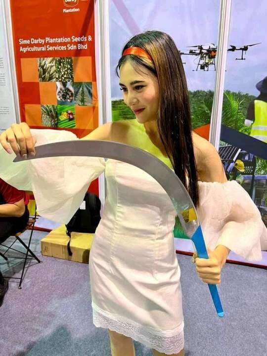 EGREK MI GLOBAL SICKLE PRO SIAP PAKAI TANPA ASAH | Lazada Indonesia