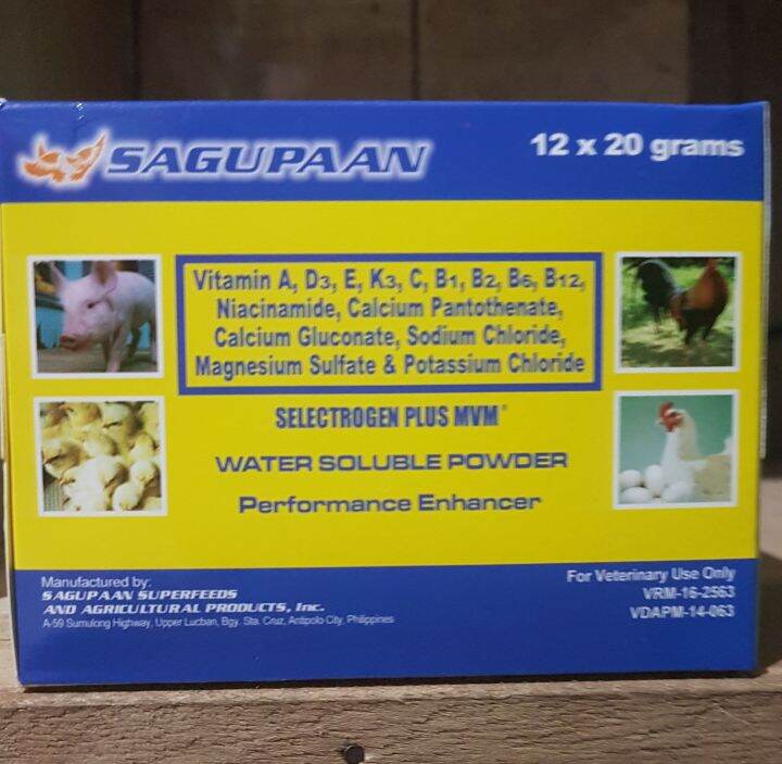 SELECTROGEN PLUS POWDER 12X20GRAMS | Lazada PH