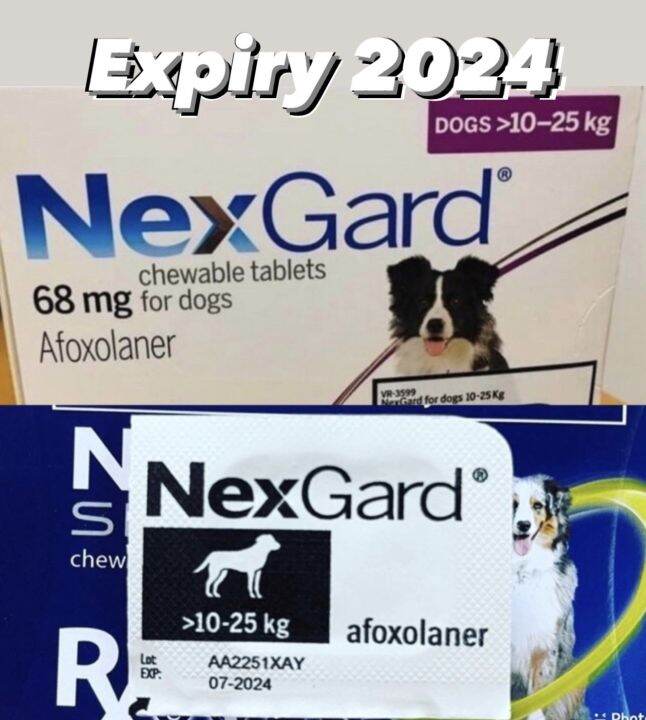 Nexgard 10-25kg 1 TABLET | Lazada PH