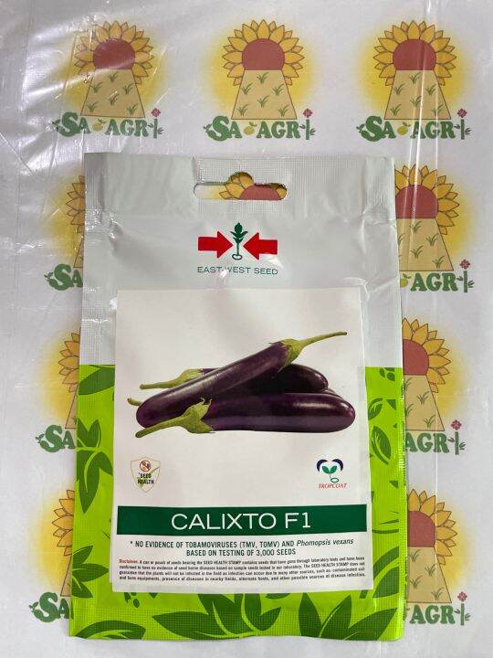 Calixto F1 Hybrid Eggplant /Asenso Pack (875 seeds) | Lazada PH
