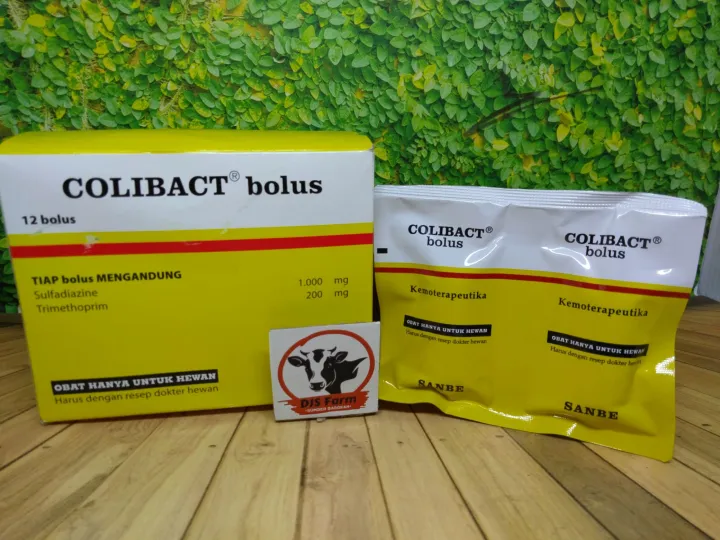 Colibact Bolus Sanbe Obat Diare Mencret Antibakteri Hewan Ternak Sapi ...