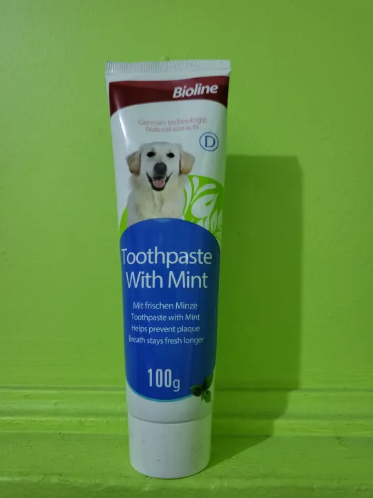 Booline Toothpaste with Mint | Lazada PH